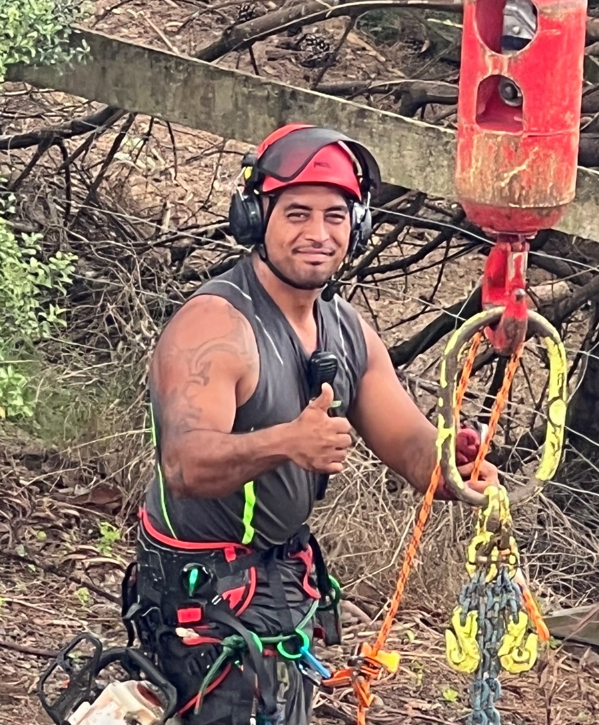 About Us | Tree Maintenance Services Auckland | The Treeman